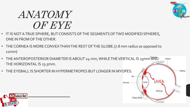 Anatomy of eye | PPT