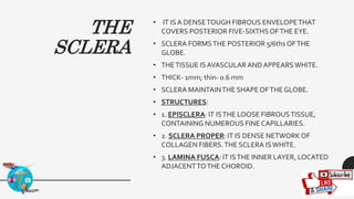 Anatomy of eye | PPT