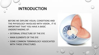 Anatomy of eye | PPT