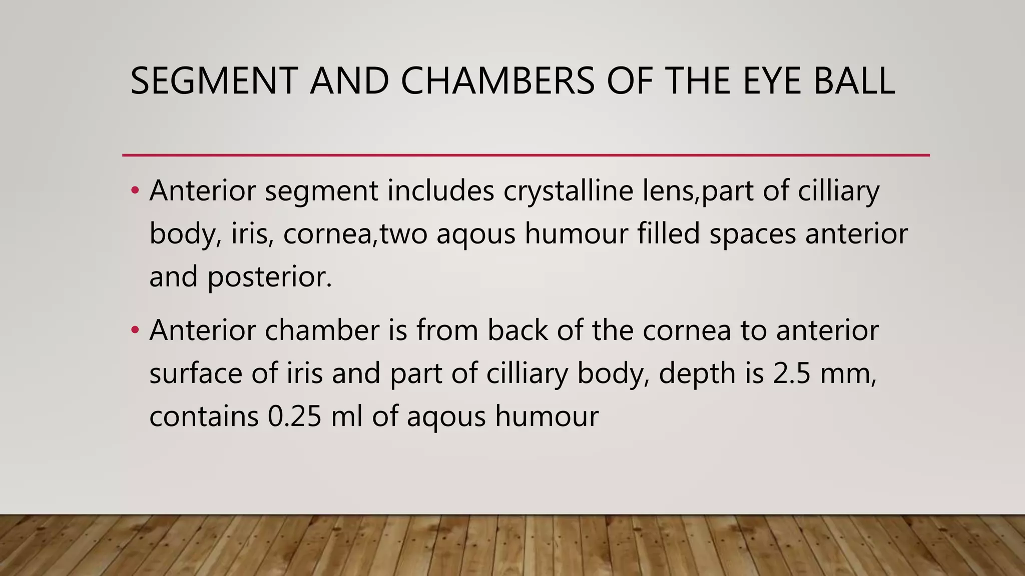 anatomy of eye SlideShare | PPTX