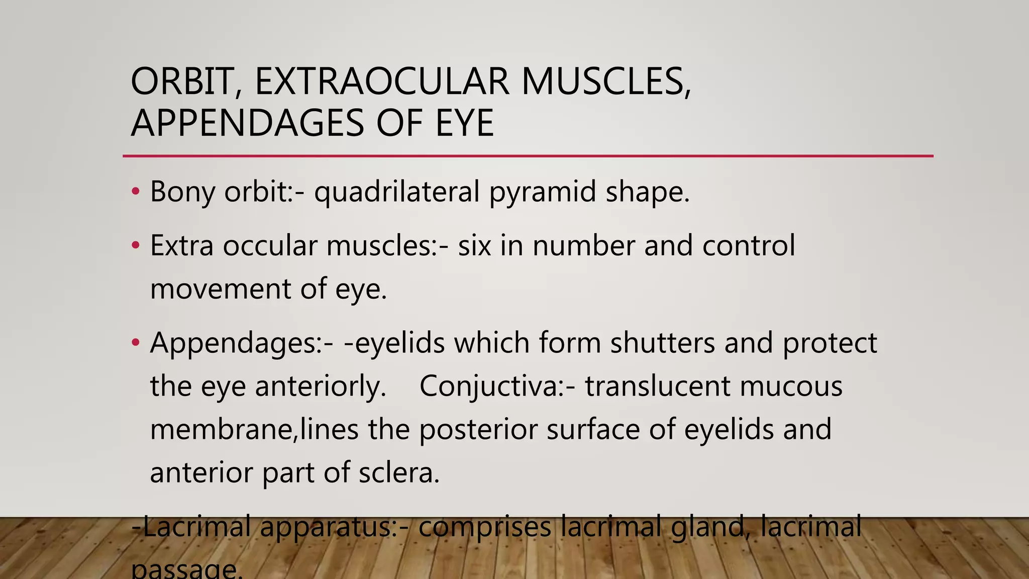 anatomy of eye SlideShare | PPTX