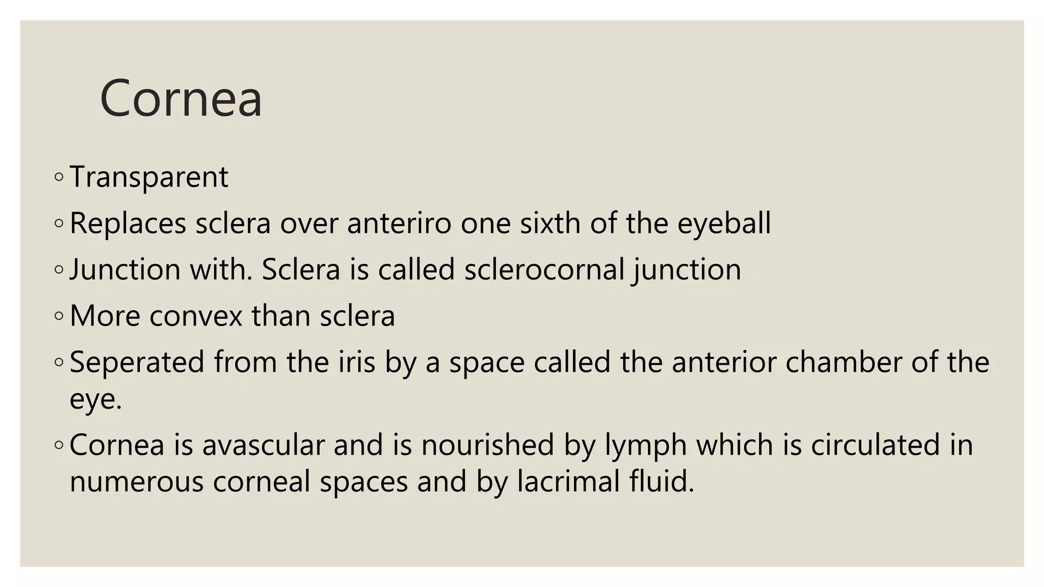 Anatomy of Eye.pptx