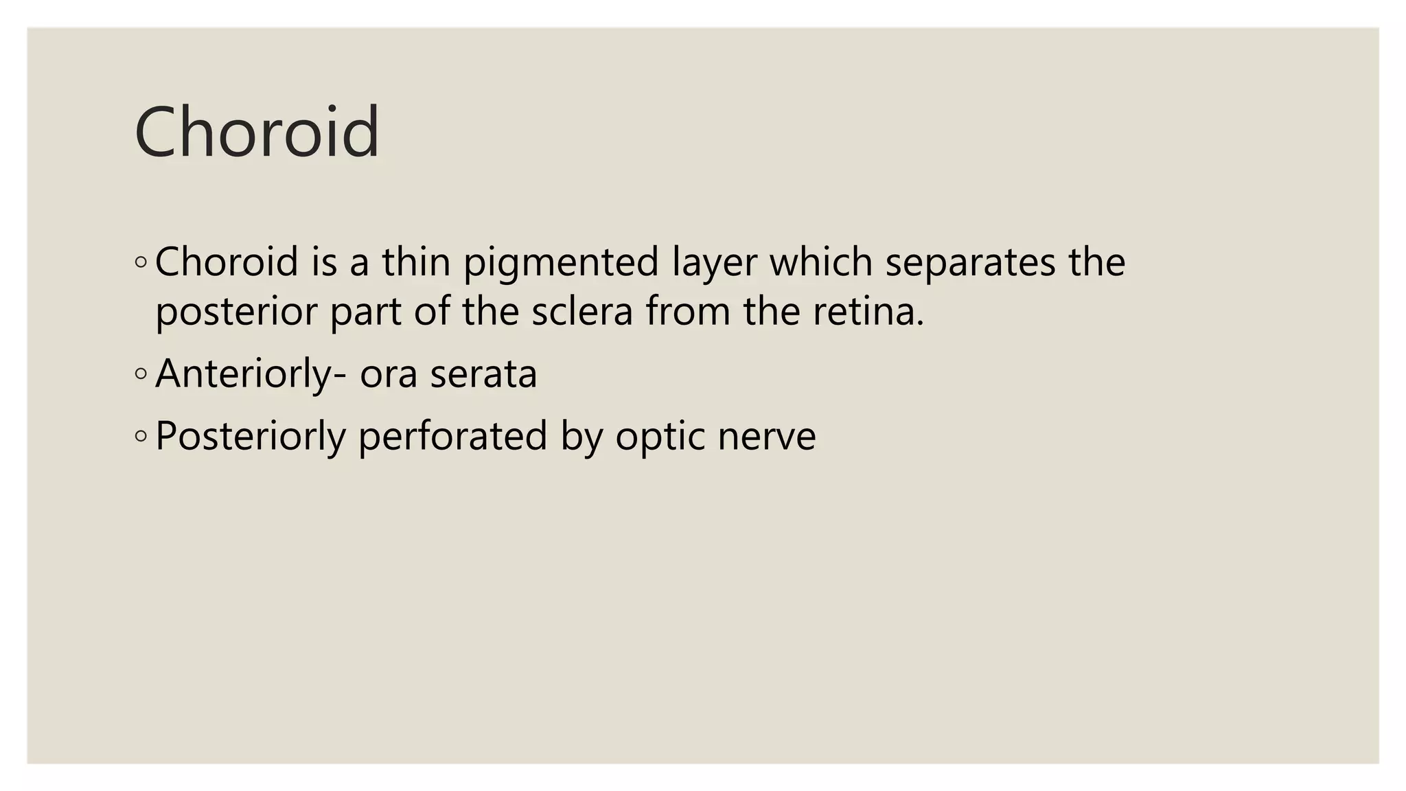 Anatomy of Eye.pptx