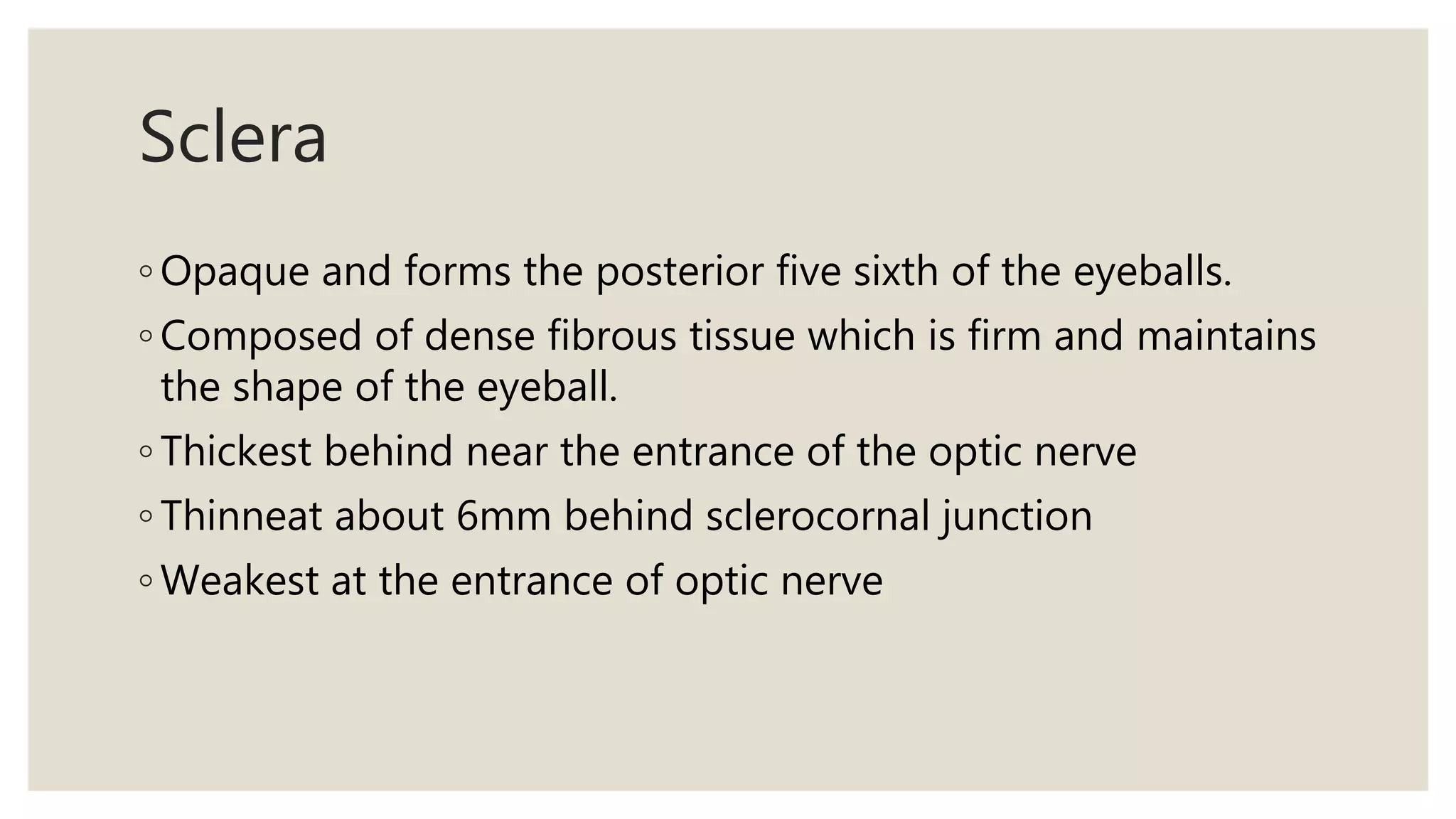 Anatomy of Eye.pptx