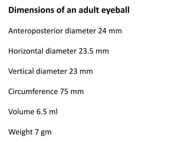 ANATOMY OF EYE.pdf