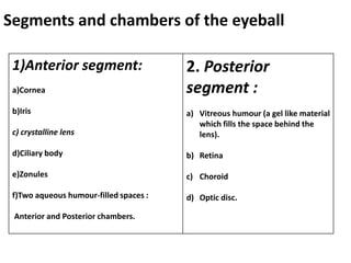 ANATOMY OF EYE.pdf