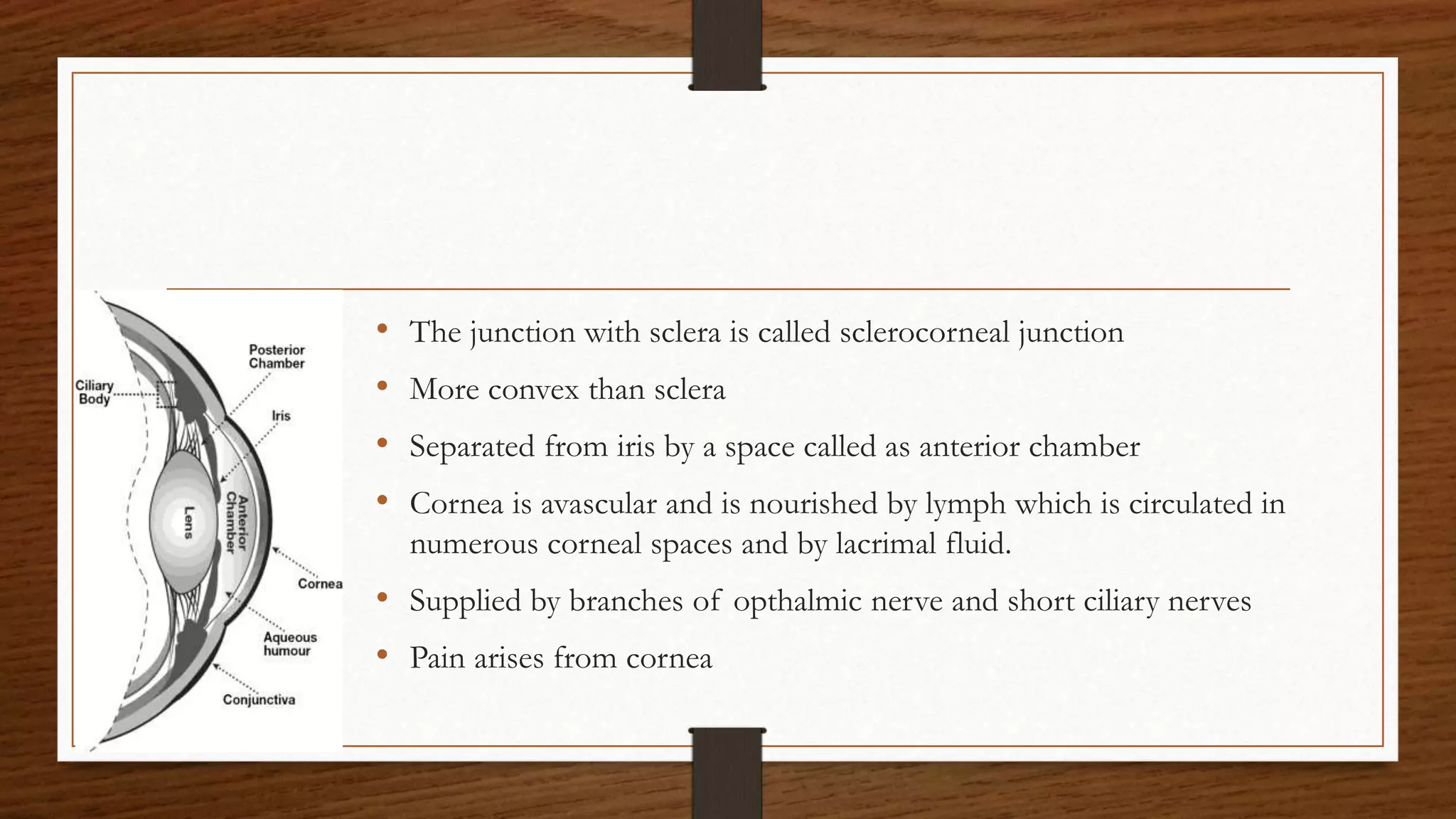 ANATOMY & PHYSIOLOGY OF EYE.pptx