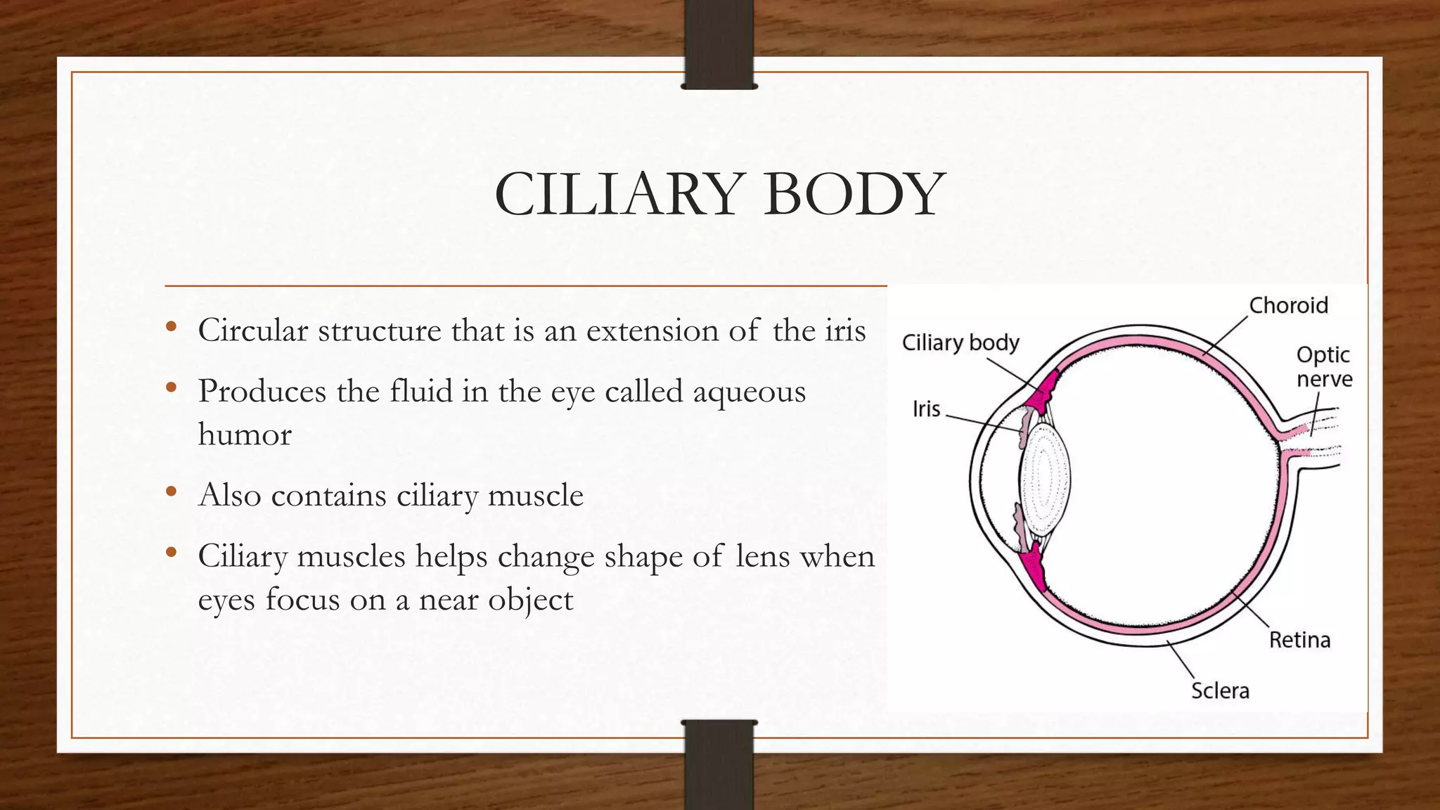 ANATOMY & PHYSIOLOGY OF EYE.pptx