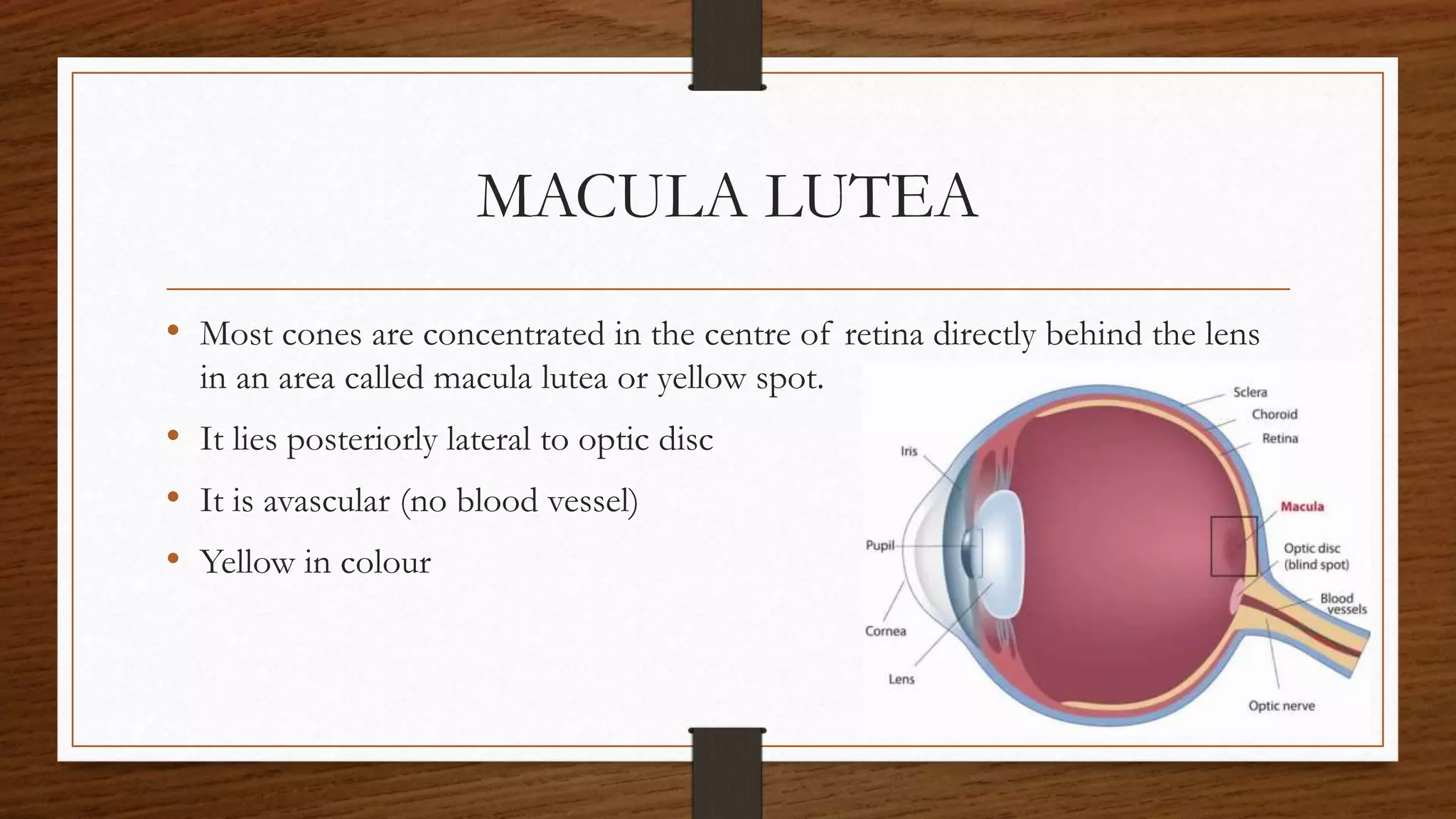 ANATOMY & PHYSIOLOGY OF EYE.pptx