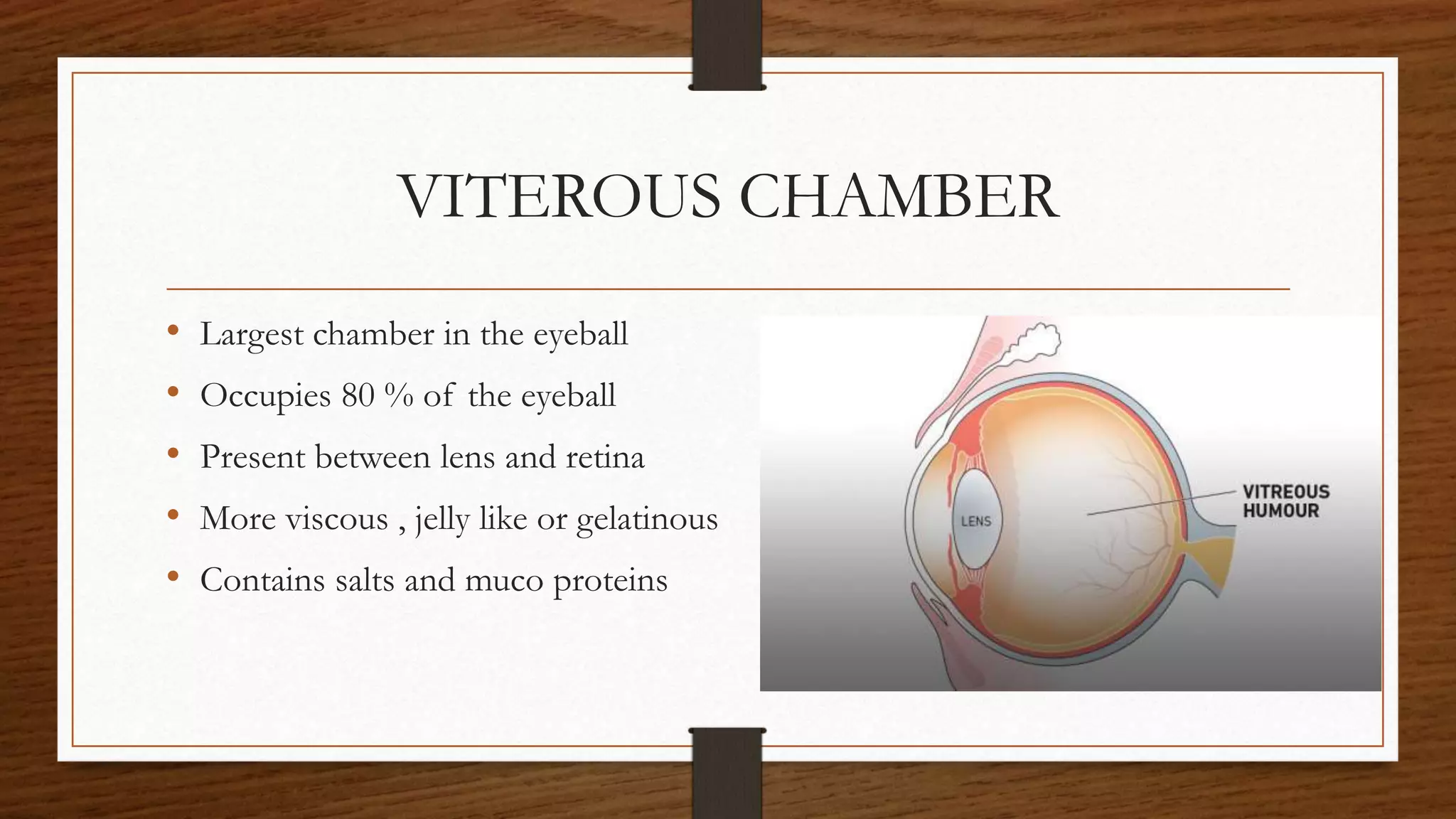 ANATOMY & PHYSIOLOGY OF EYE.pptx
