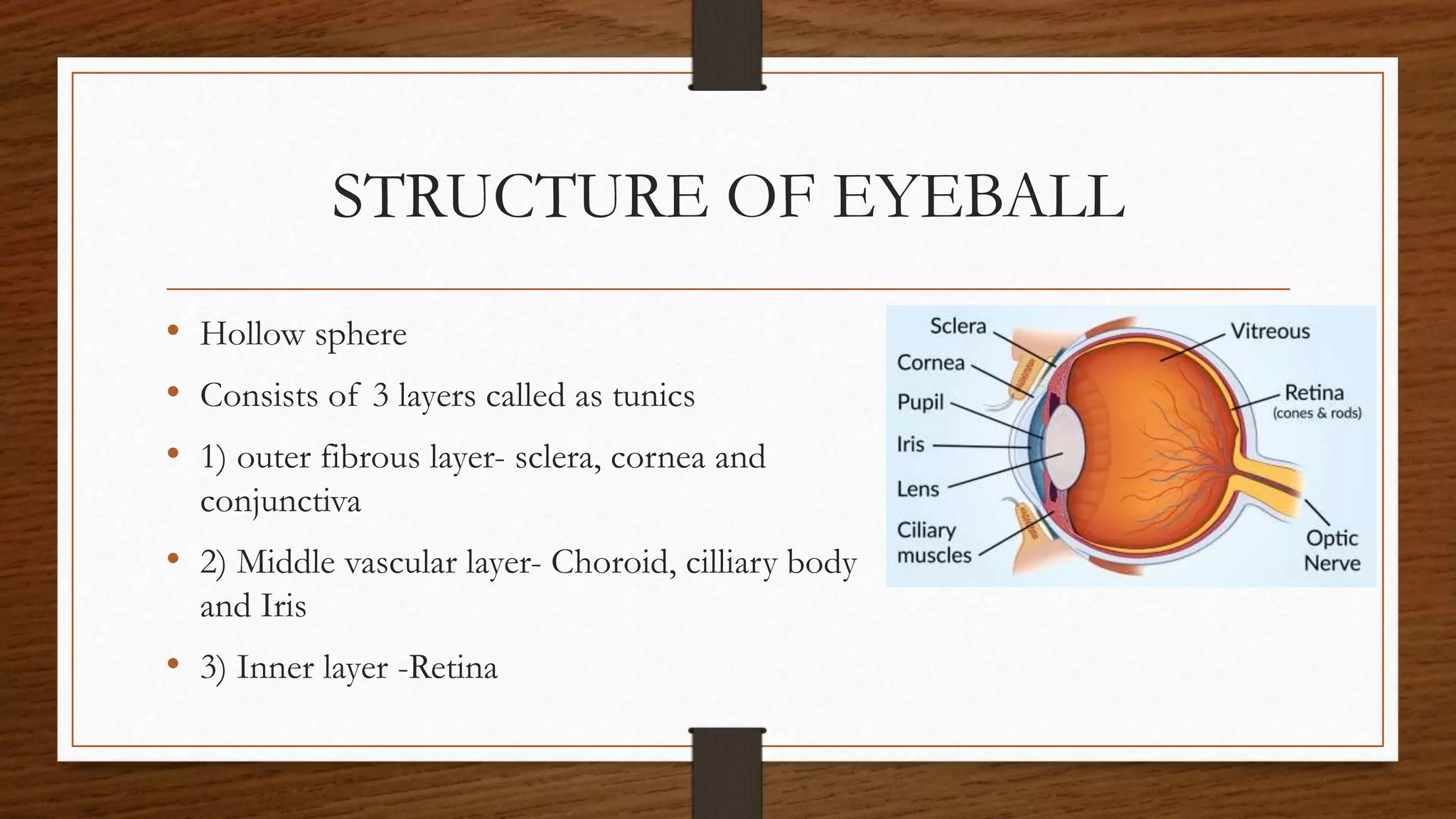 ANATOMY & PHYSIOLOGY OF EYE.pptx