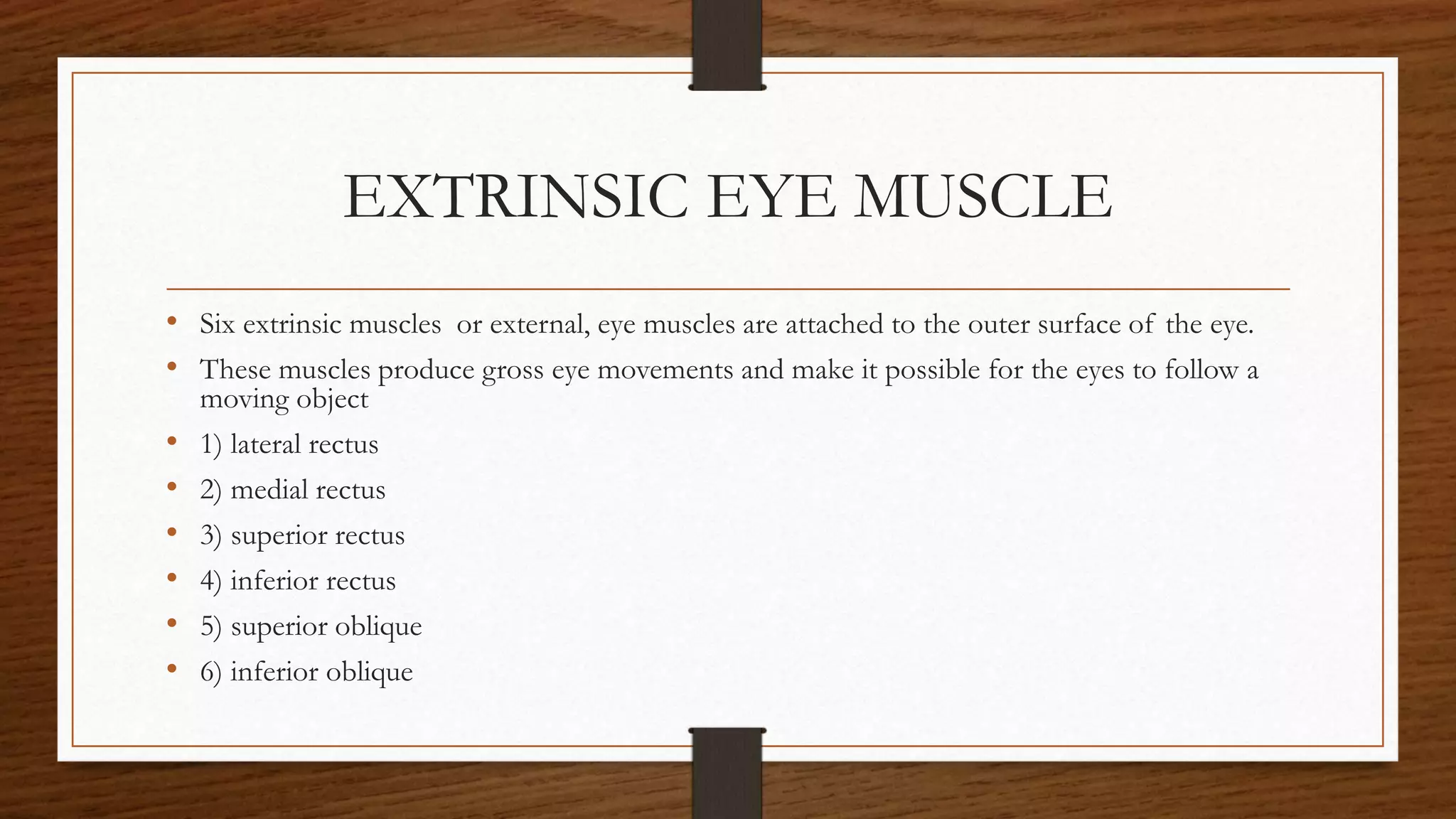 ANATOMY & PHYSIOLOGY OF EYE.pptx