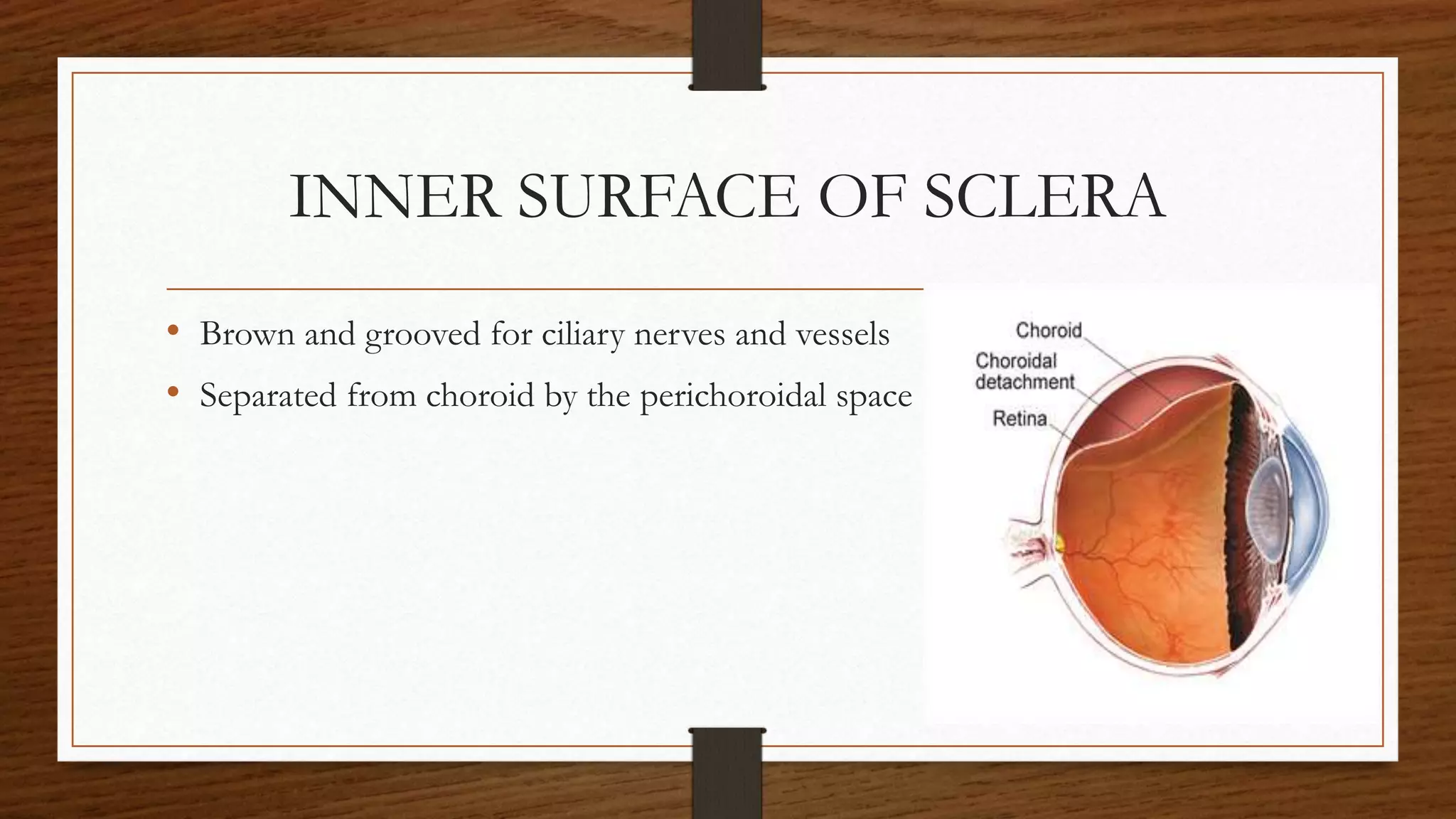 ANATOMY & PHYSIOLOGY OF EYE.pptx