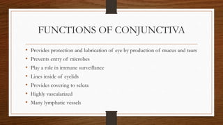 ANATOMY & PHYSIOLOGY OF EYE.pptx