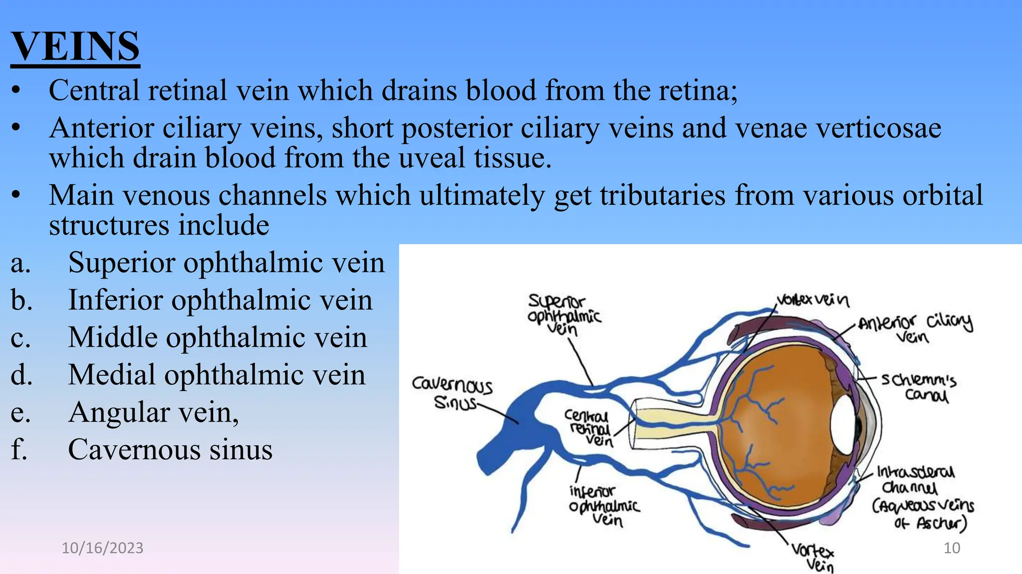 Anatomy of eye.pptx