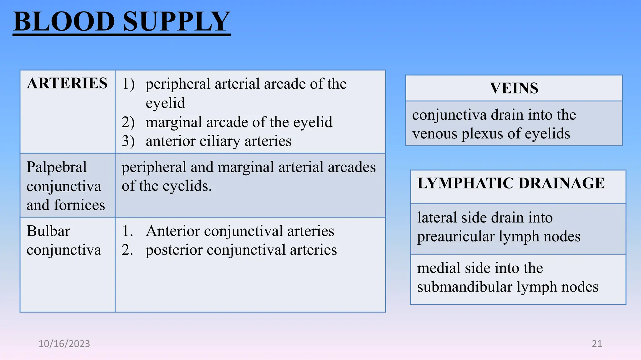 Anatomy of eye.pptx