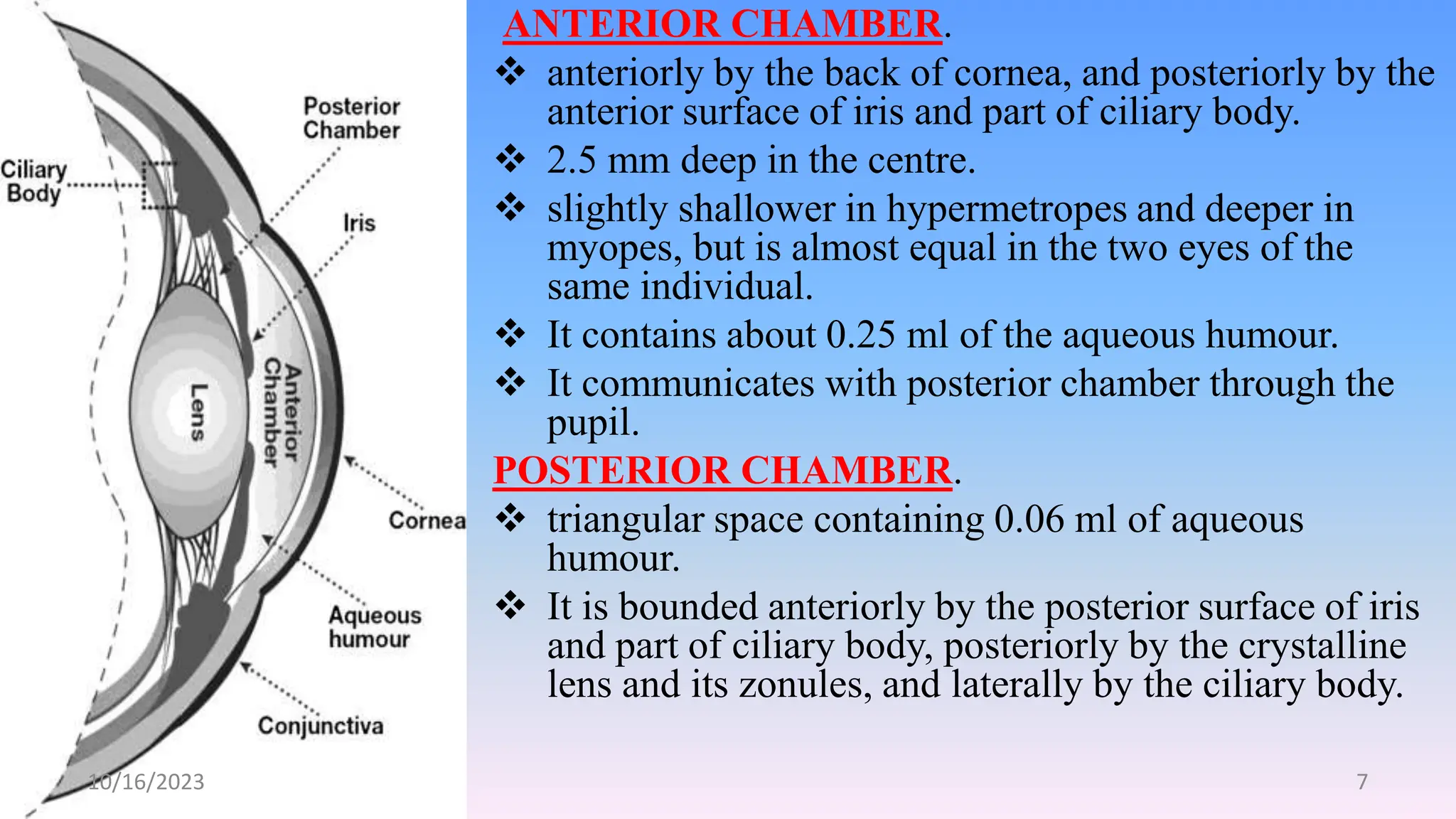 Anatomy of eye.pptx
