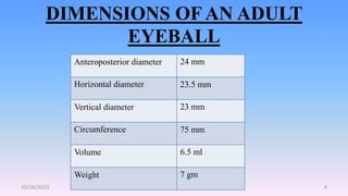 Anatomy of eye.pptx