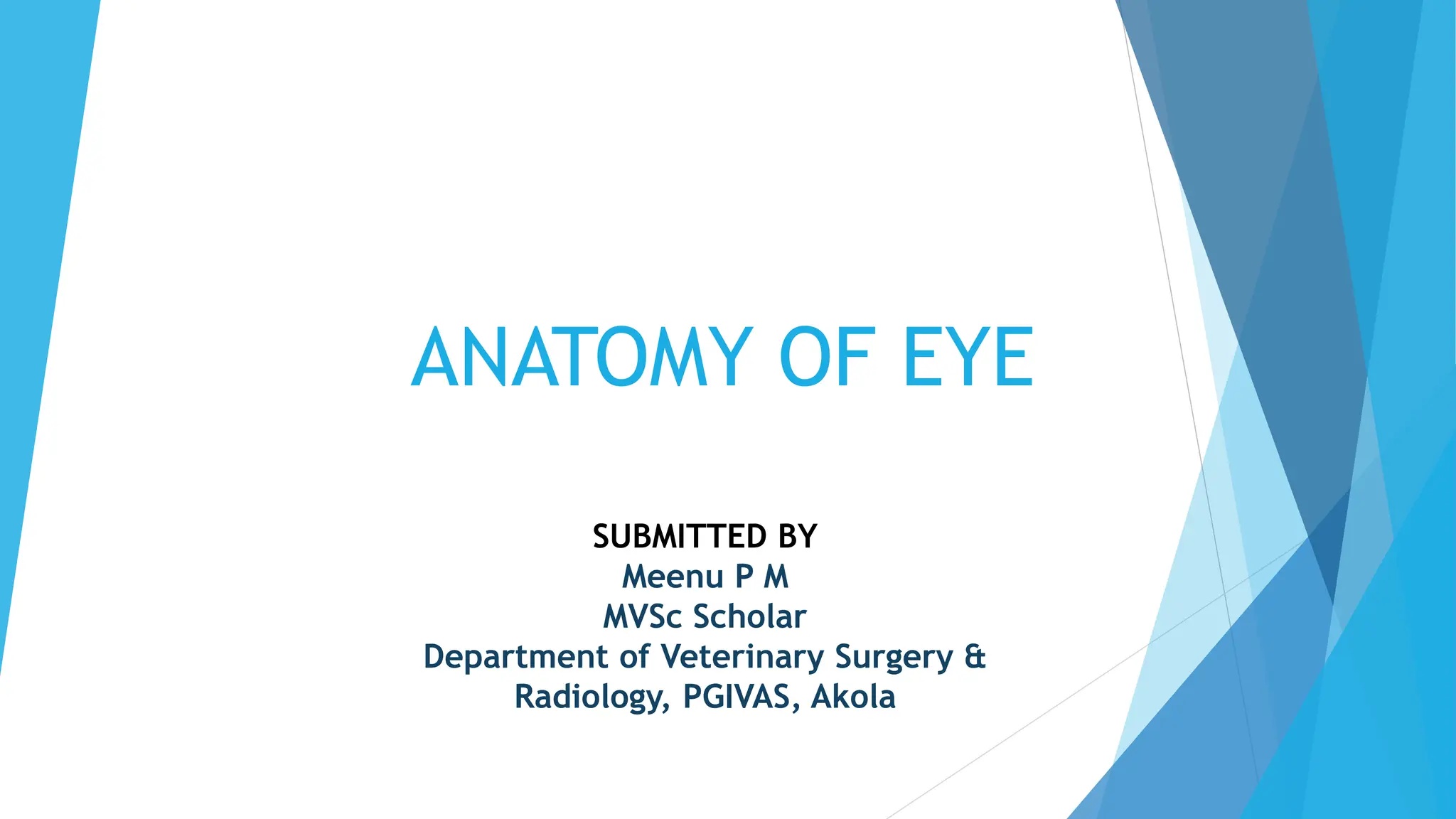 ANATOMY OF EYE.pptx