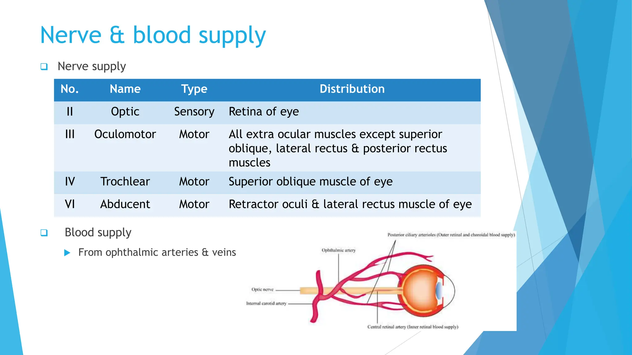 ANATOMY OF EYE.pptx