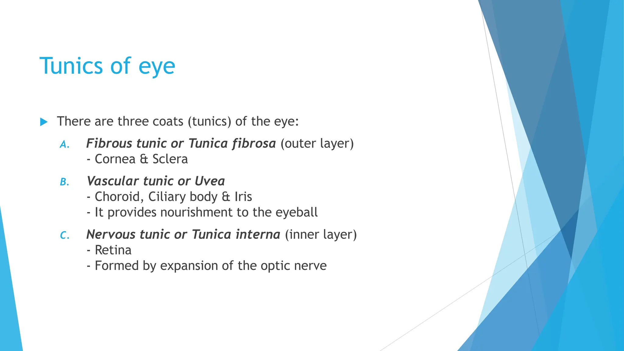 ANATOMY OF EYE.pptx