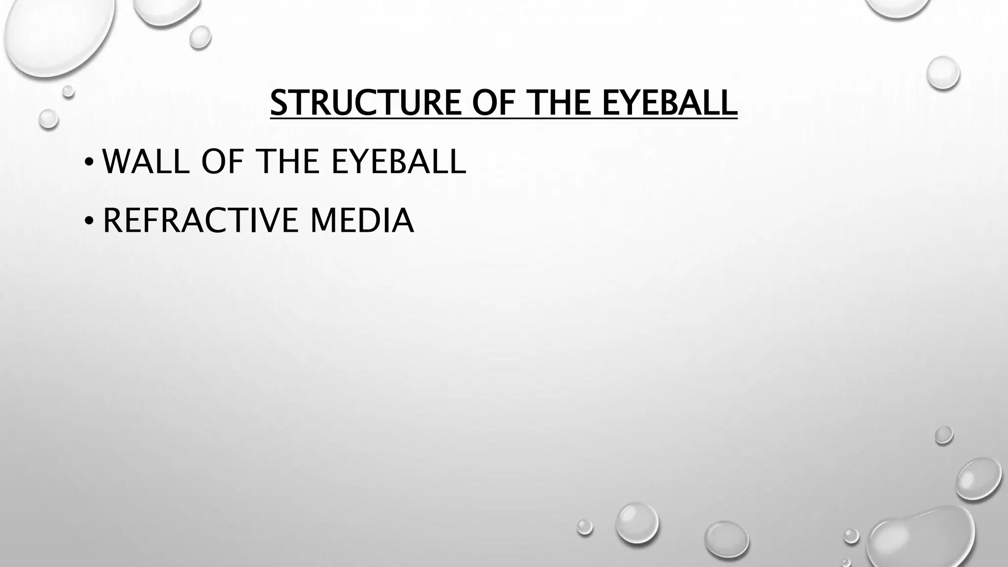 Anatomy of eye POWER POINT PRESENTATION | PPTX