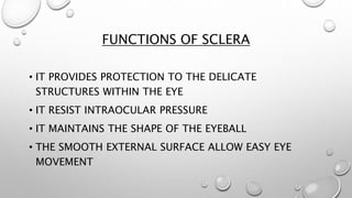 Anatomy of eye POWER POINT PRESENTATION | PPTX