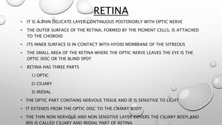 Anatomy of eye POWER POINT PRESENTATION | PPTX