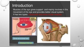 Anatomy of eye POWER POINT PRESENTATION | PPTX