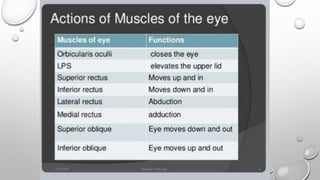 Anatomy of eye POWER POINT PRESENTATION | PPTX