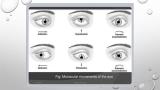 Anatomy of eye POWER POINT PRESENTATION | PPTX