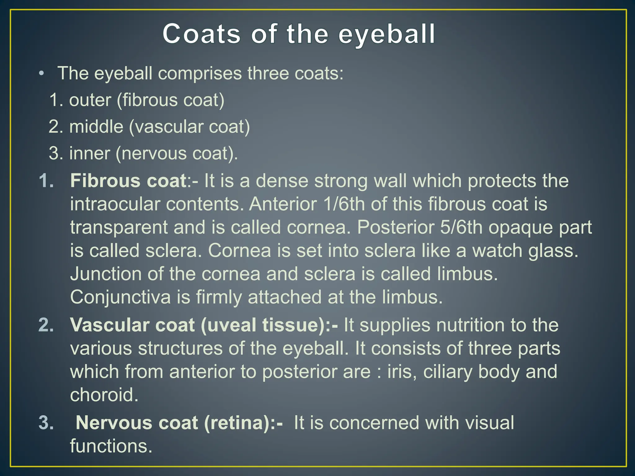 The Basic Anatomy of Eye and Eyeball | PPTX