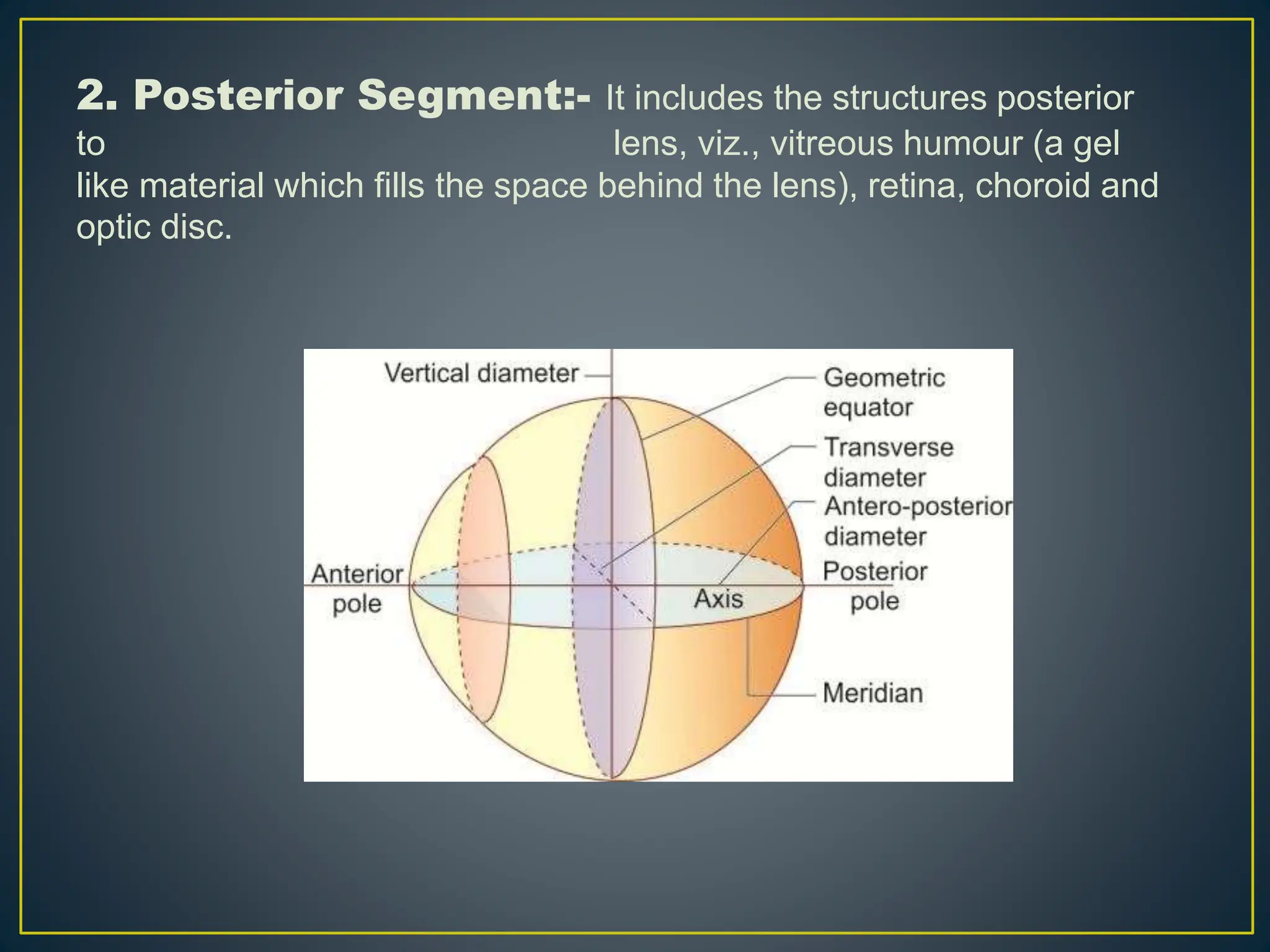 The Basic Anatomy of Eye and Eyeball | PPTX