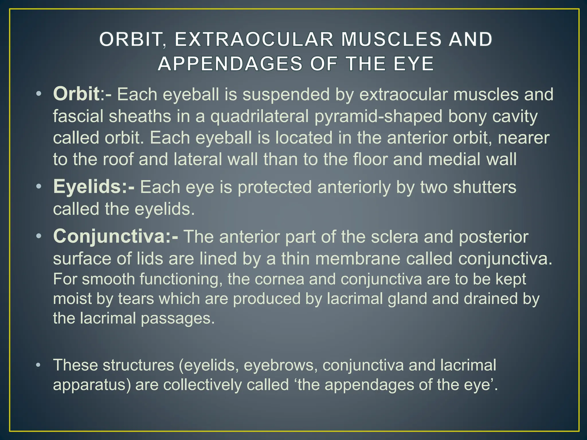 The Basic Anatomy of Eye and Eyeball | PPT