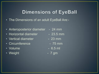 The Basic Anatomy of Eye and Eyeball | PPT