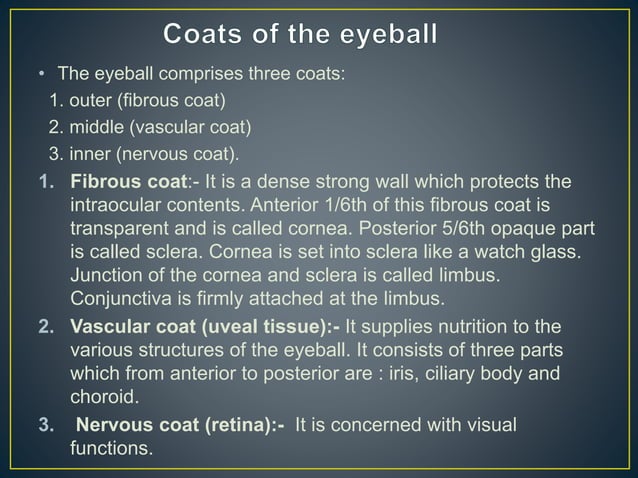 The Basic Anatomy of Eye and Eyeball | PPT