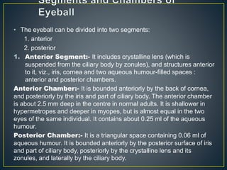 The Basic Anatomy of Eye and Eyeball | PPT