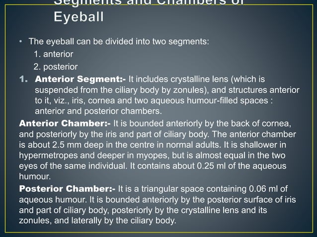 The Basic Anatomy of Eye and Eyeball | PPT