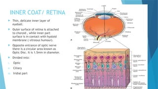 whole ANATOMY OF EYE with eye ball .pptx