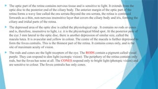 whole ANATOMY OF EYE with eye ball .pptx