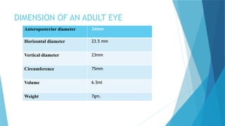 whole ANATOMY OF EYE with eye ball .pptx