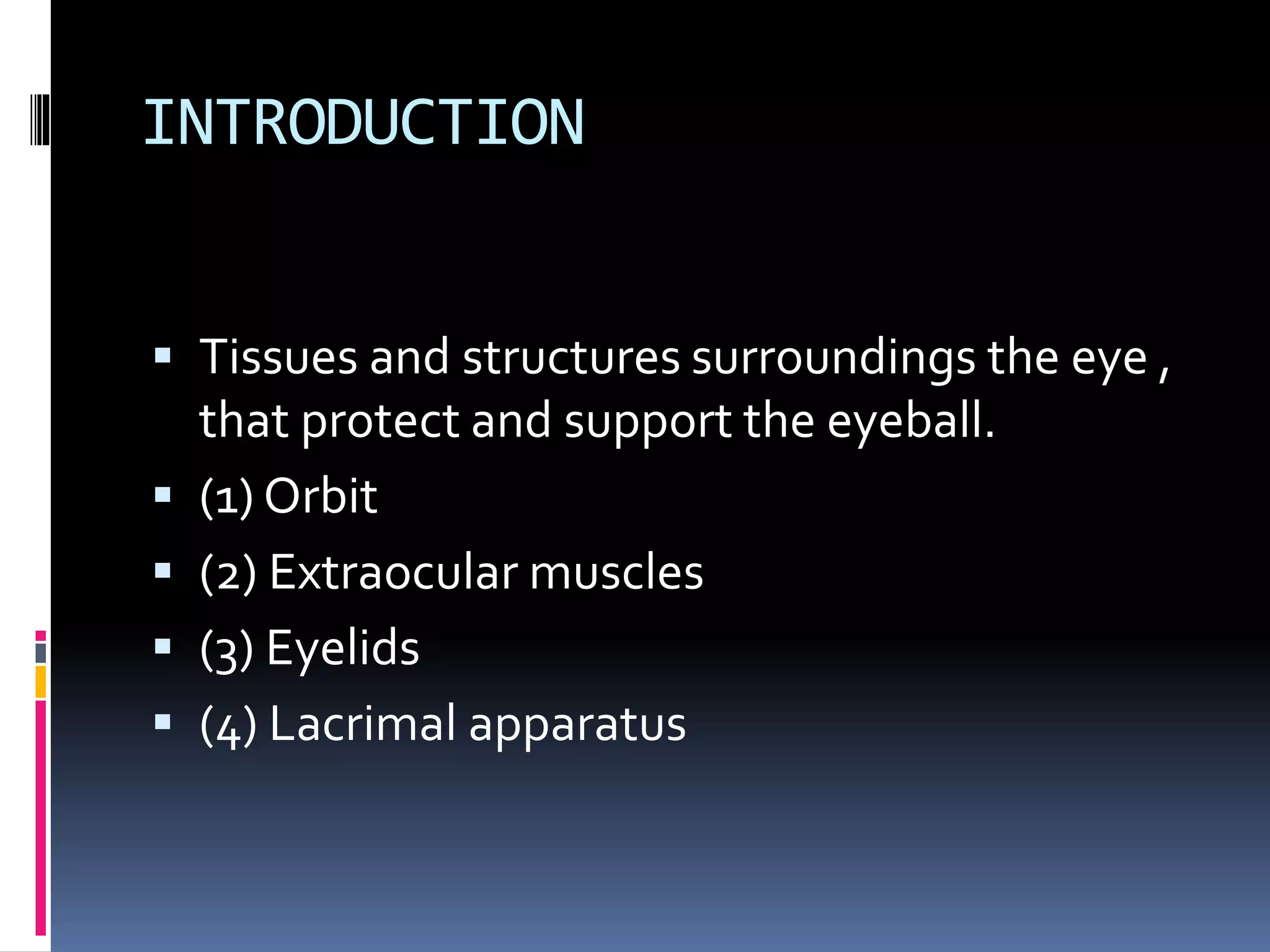 ANATOMY OF EYE - ophthalmology.pptx