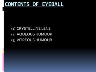 ANATOMY OF EYE - ophthalmology.pptx