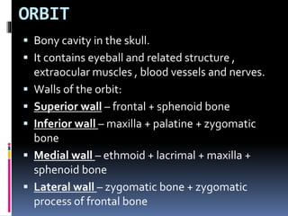 ANATOMY OF EYE - ophthalmology.pptx