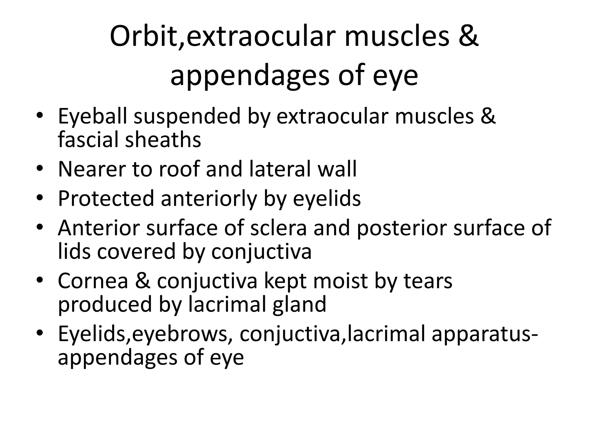 ANATOMY OF EYEBALL MBBS OPTHALMOLOGY CLASS | PPTX