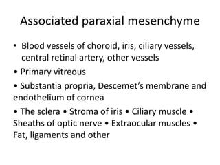 ANATOMY OF EYEBALL MBBS OPTHALMOLOGY CLASS | PPTX