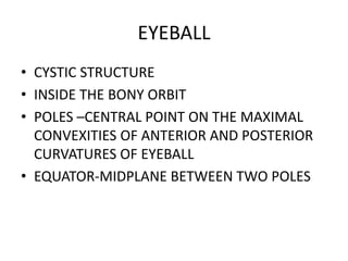 ANATOMY OF EYEBALL MBBS OPTHALMOLOGY CLASS | PPTX