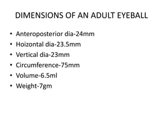 ANATOMY OF EYEBALL MBBS OPTHALMOLOGY CLASS | PPTX