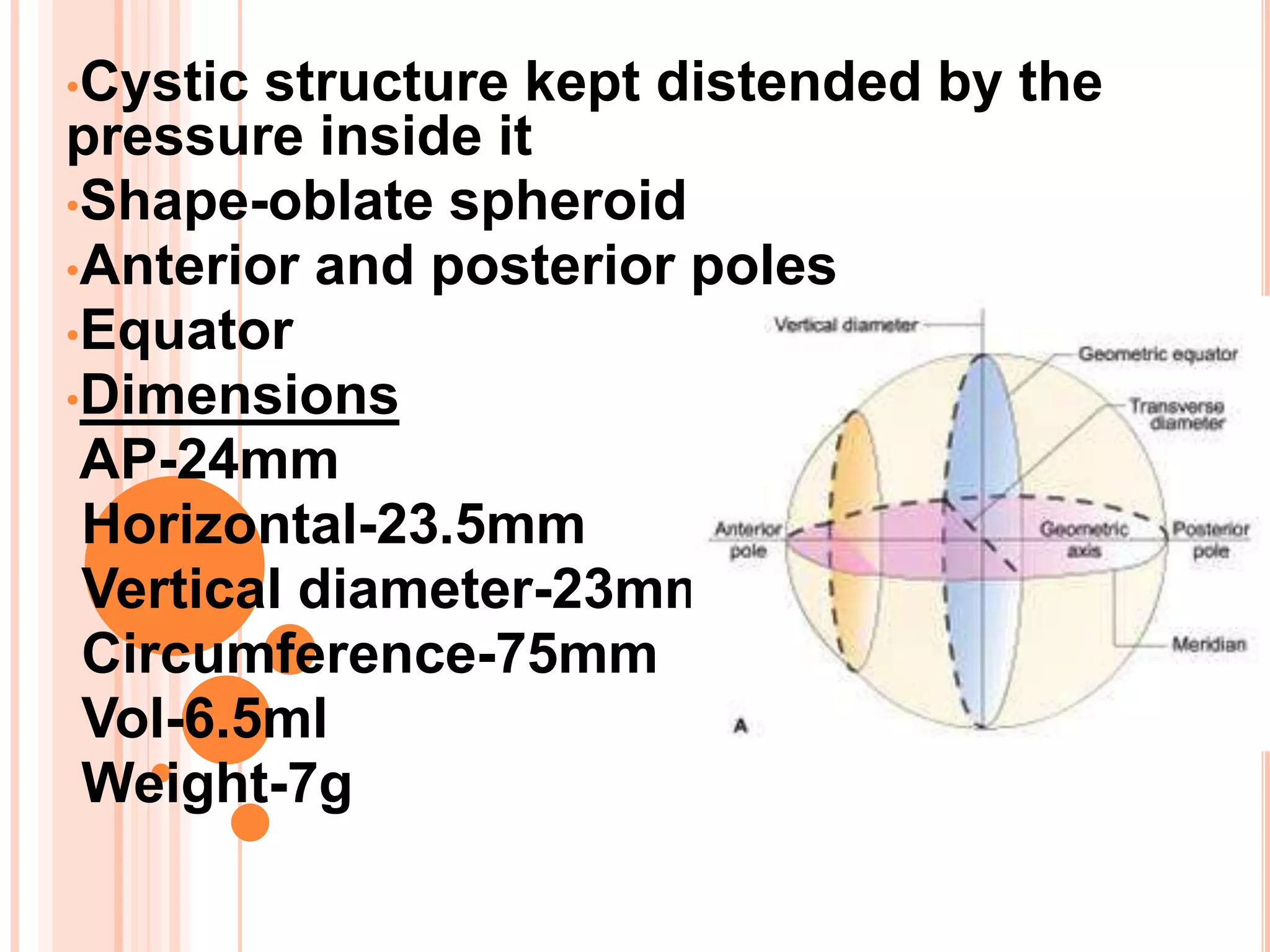 Anatomy of eyeball | PPTX