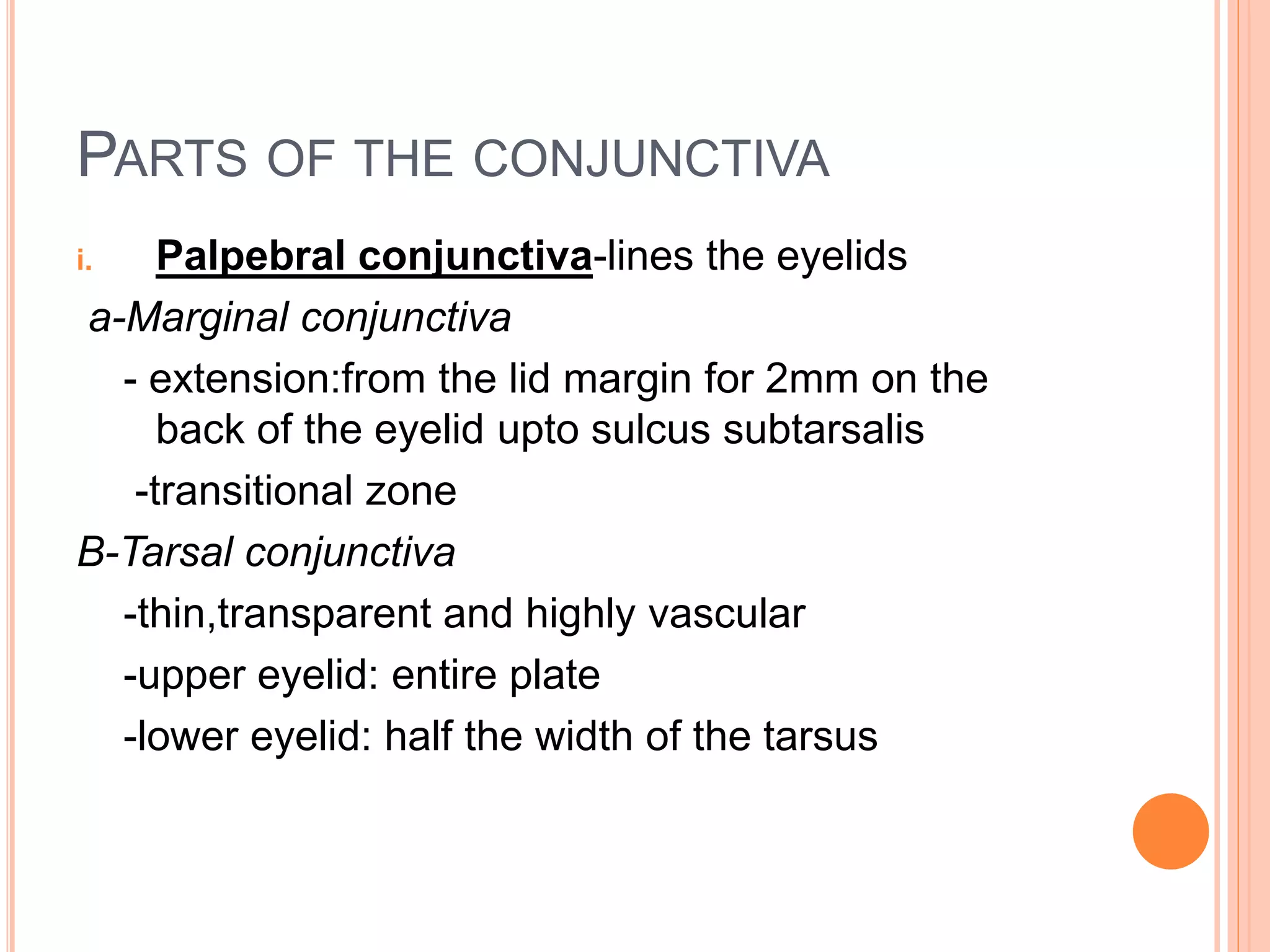 Anatomy of eyeball | PPTX
